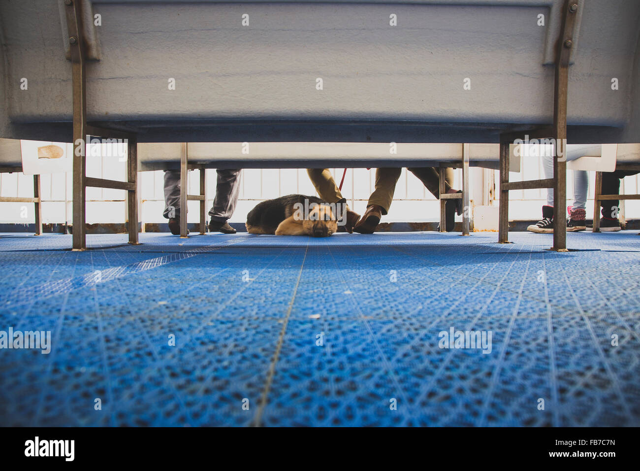 Around walking person hi-res stock photography and images - Alamy