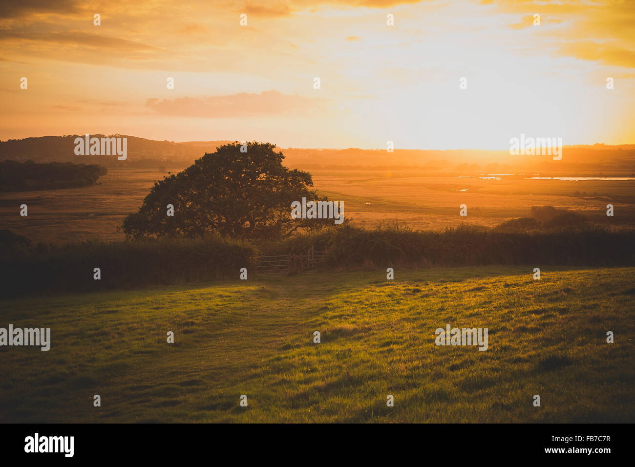 Green field and sunset sky view hi-res stock photography and images - Alamy