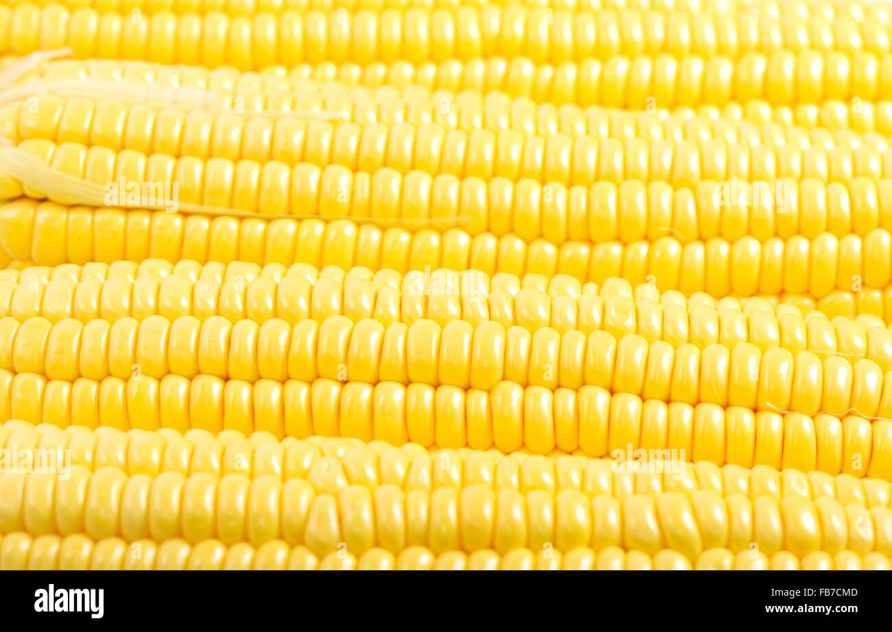 Fresh yellow corn Stock Photo - Alamy