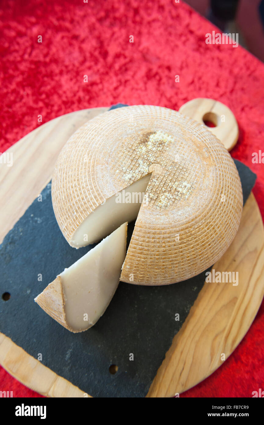 Rachel holder hi-res stock photography and images - Alamy