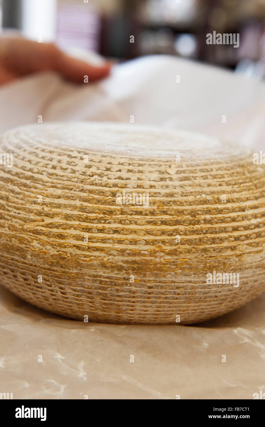 Rachel holder hi-res stock photography and images - Alamy