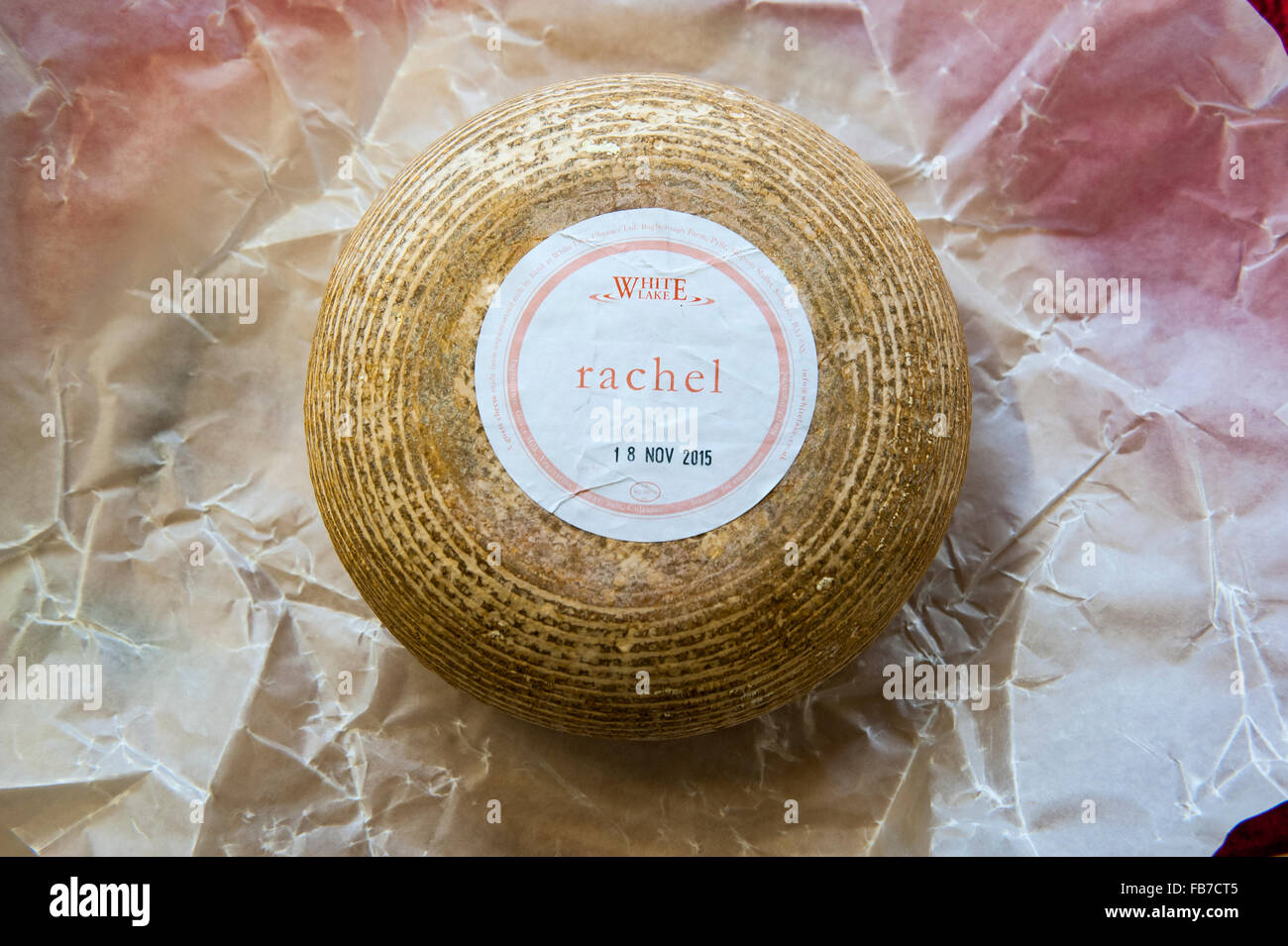 Rachel goats cheese produced by White Lake in Somerset England Stock ...