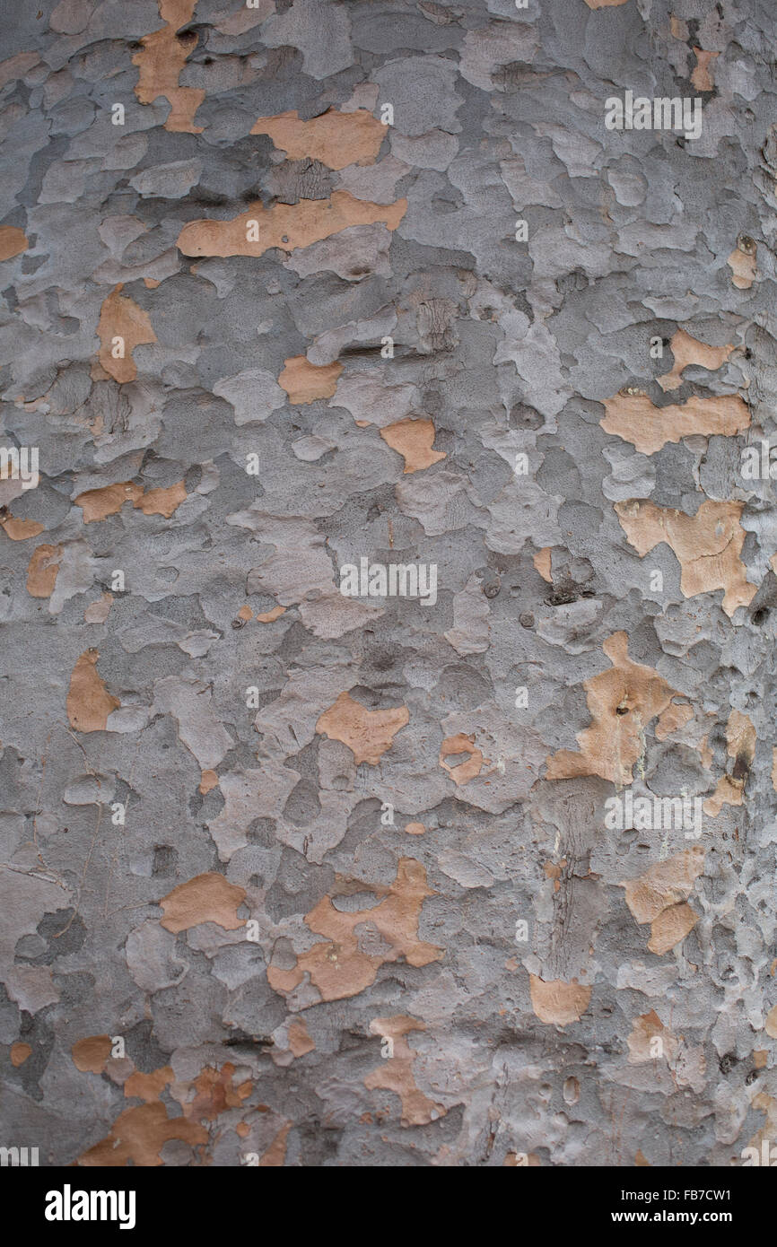 Full frame shot of weathered wall Stock Photo - Alamy