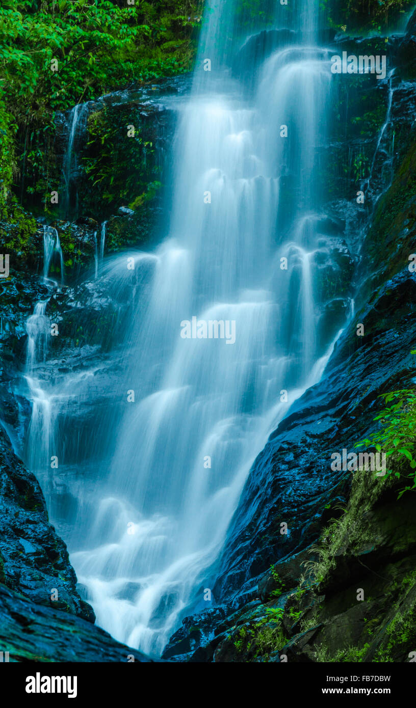 Spray tint hi-res stock photography and images - Alamy