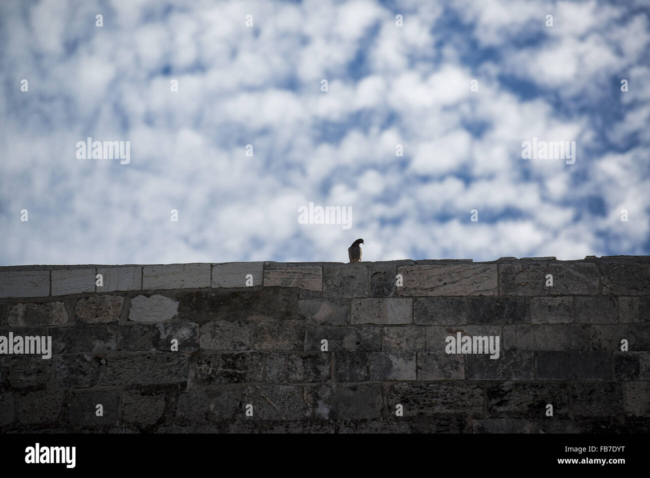 Danielle bird hi-res stock photography and images - Alamy