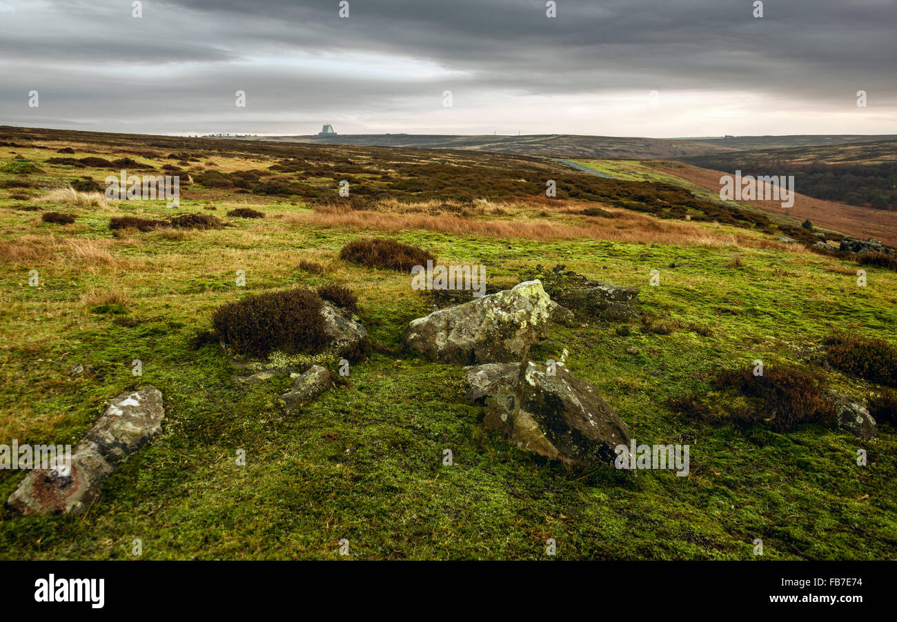 The North York Moors National Park at sunrise in winter with heather ...