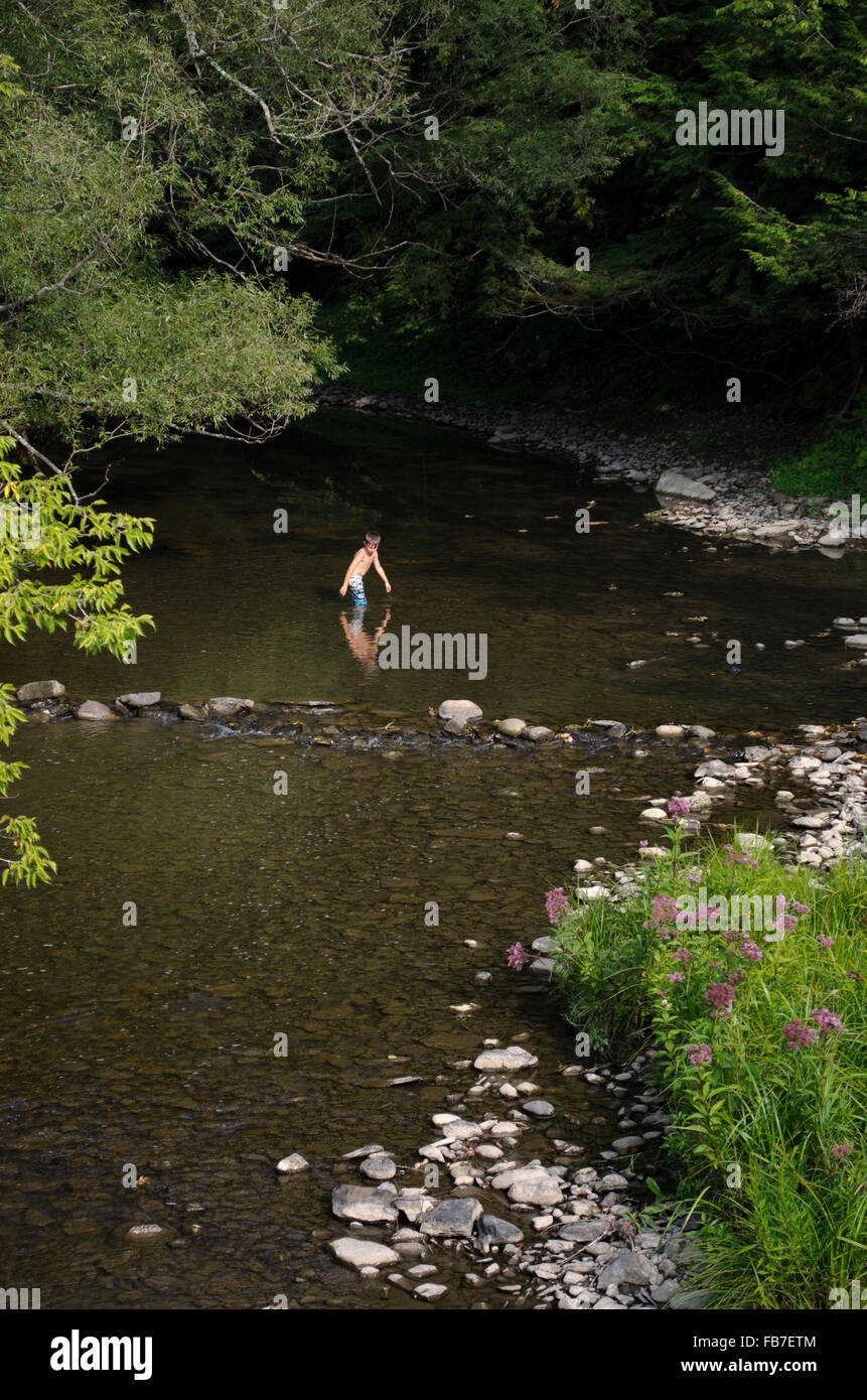 a young boy wading in a river in summer Stock Photo - Alamy
