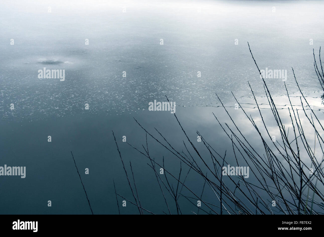 Reeds in foreground winter hi-res stock photography and images - Alamy