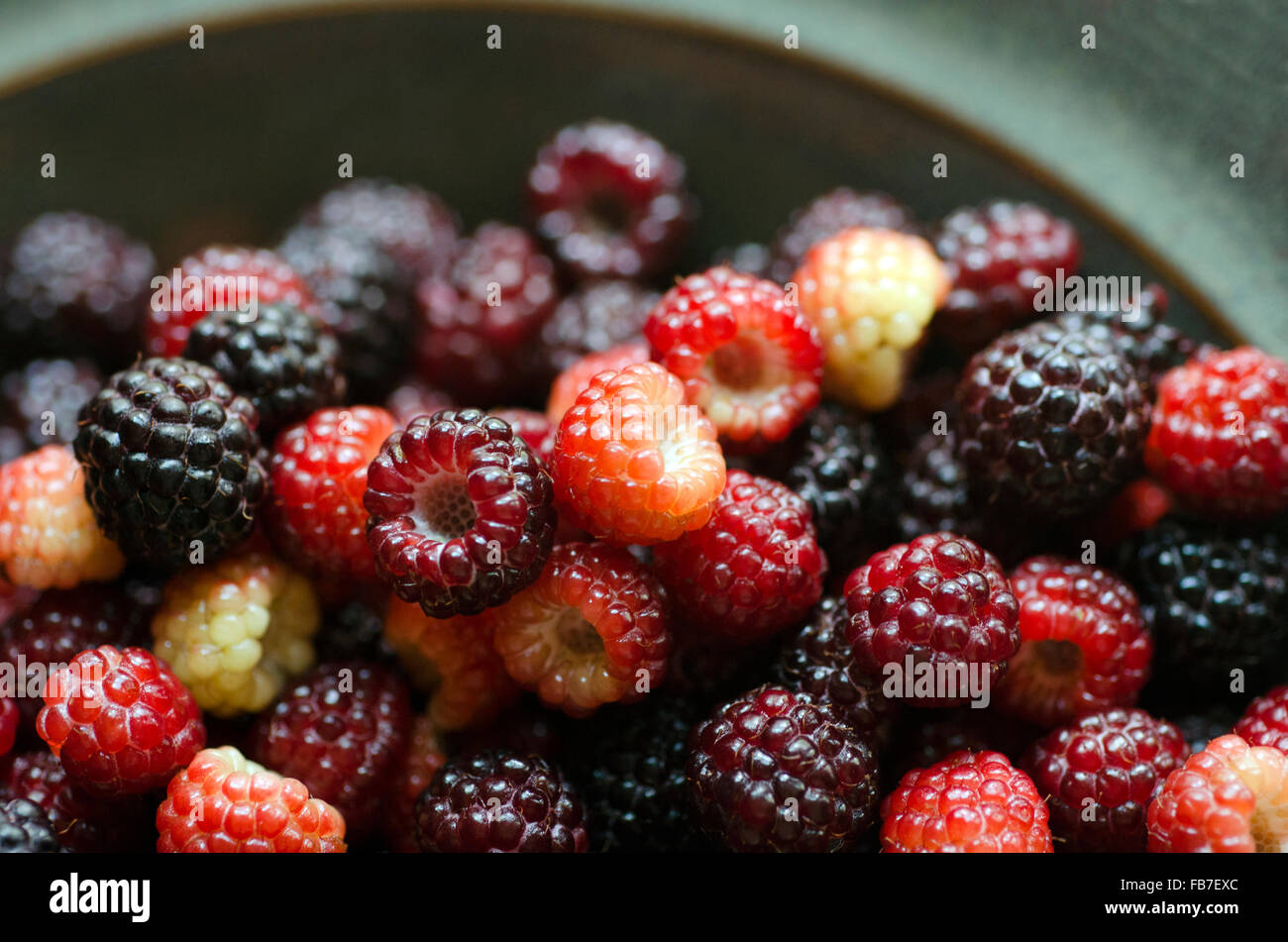 Blackberries raspberries close up hi-res stock photography and images ...