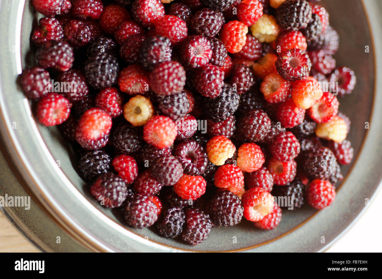 a bowl of wild raspberries Stock Photo - Alamy