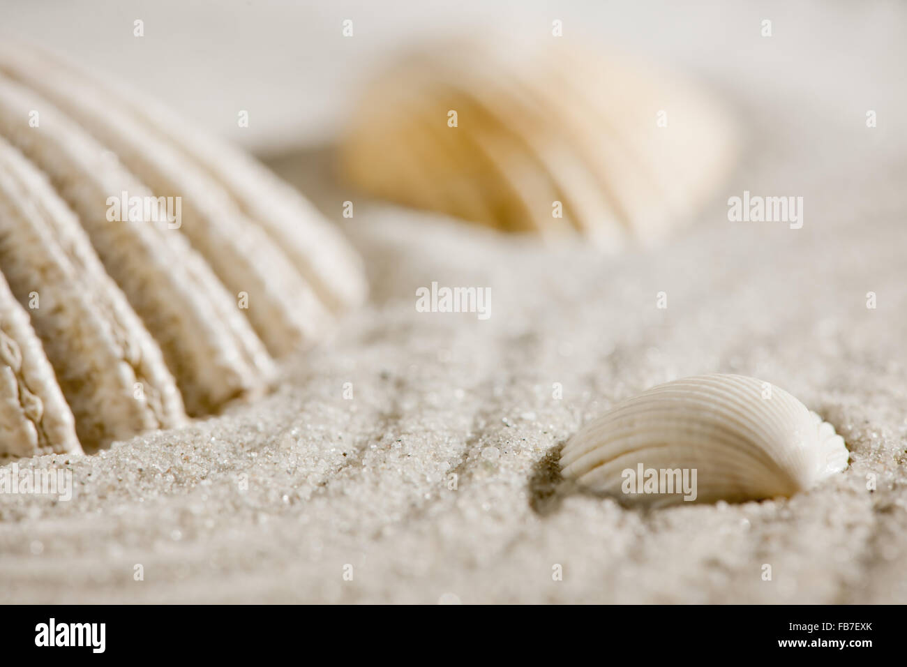 Foggensee hi-res stock photography and images - Alamy