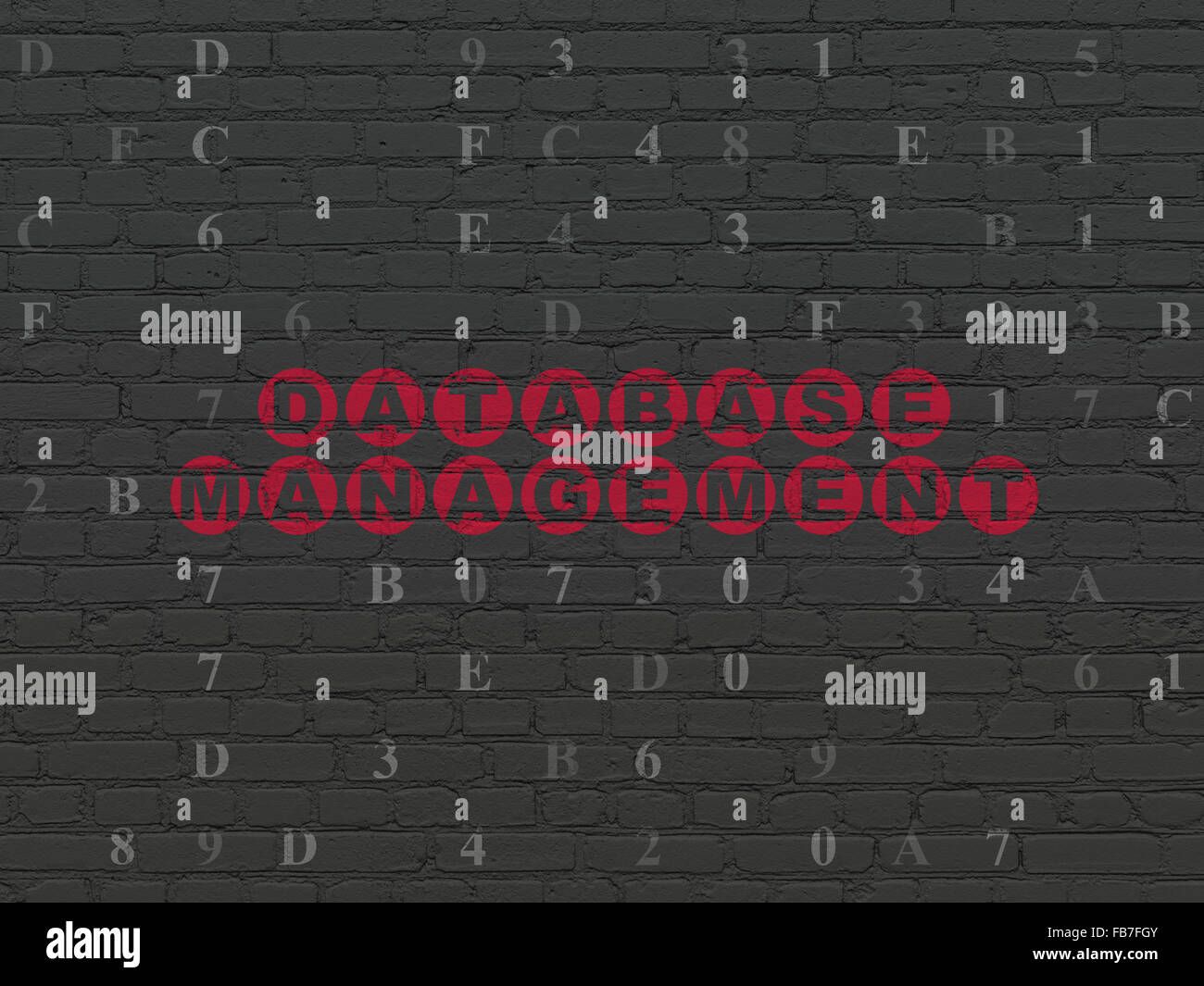 Programming concept: Database Management on wall background Stock Photo ...