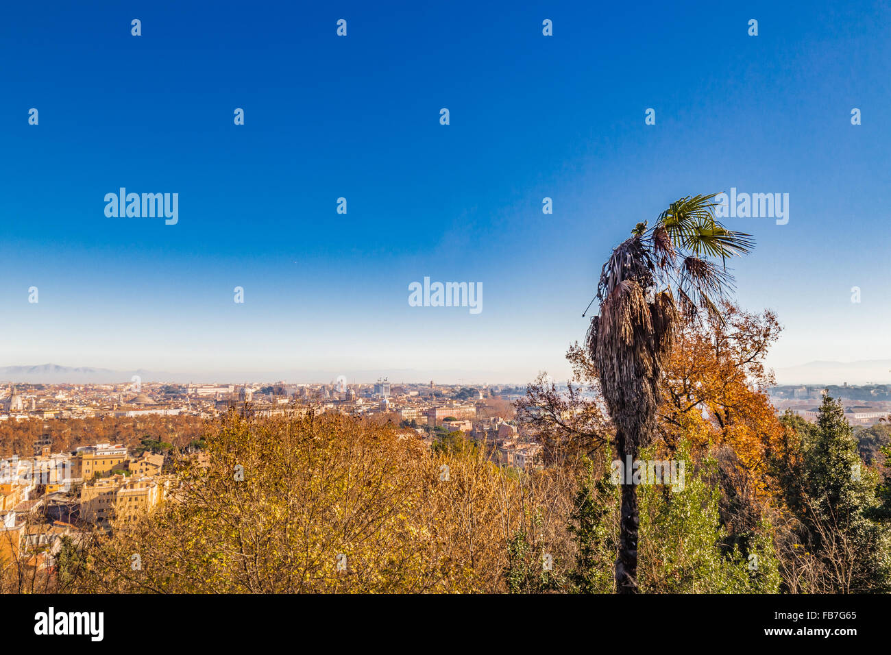 View overlooking the rooftops of Rome, ancient monuments, historic ...