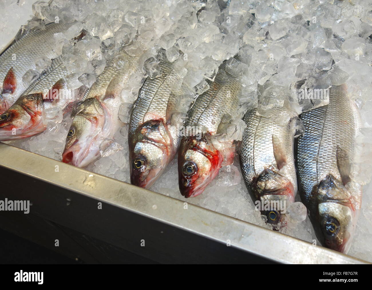 Fish in ice at a supermarket Stock Photo - Alamy