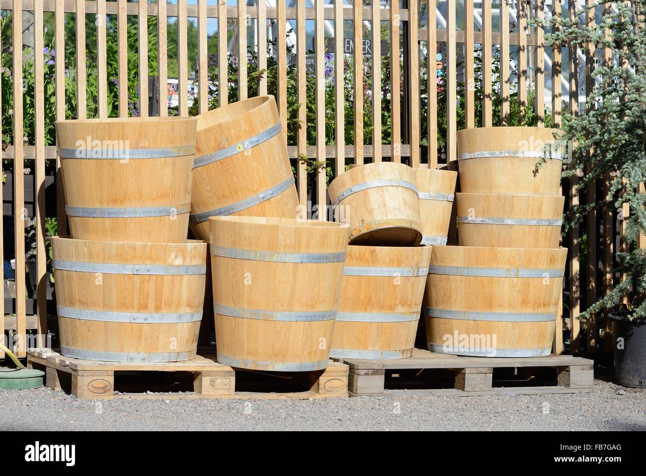 Cross Section Of Flower Pot High Resolution Stock Photography and ...