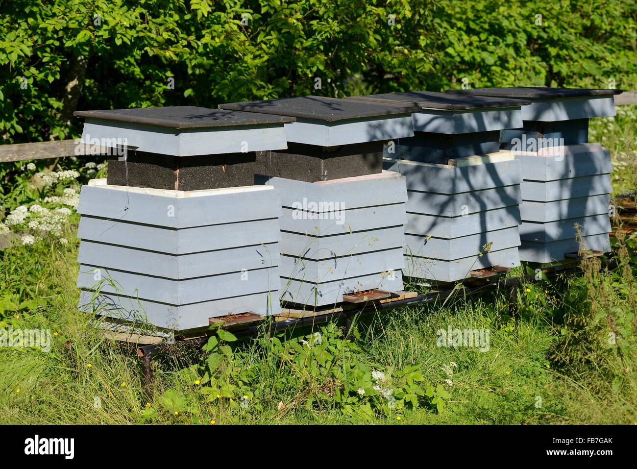 Bee Hives In A Row High Resolution Stock Photography and Images - Alamy