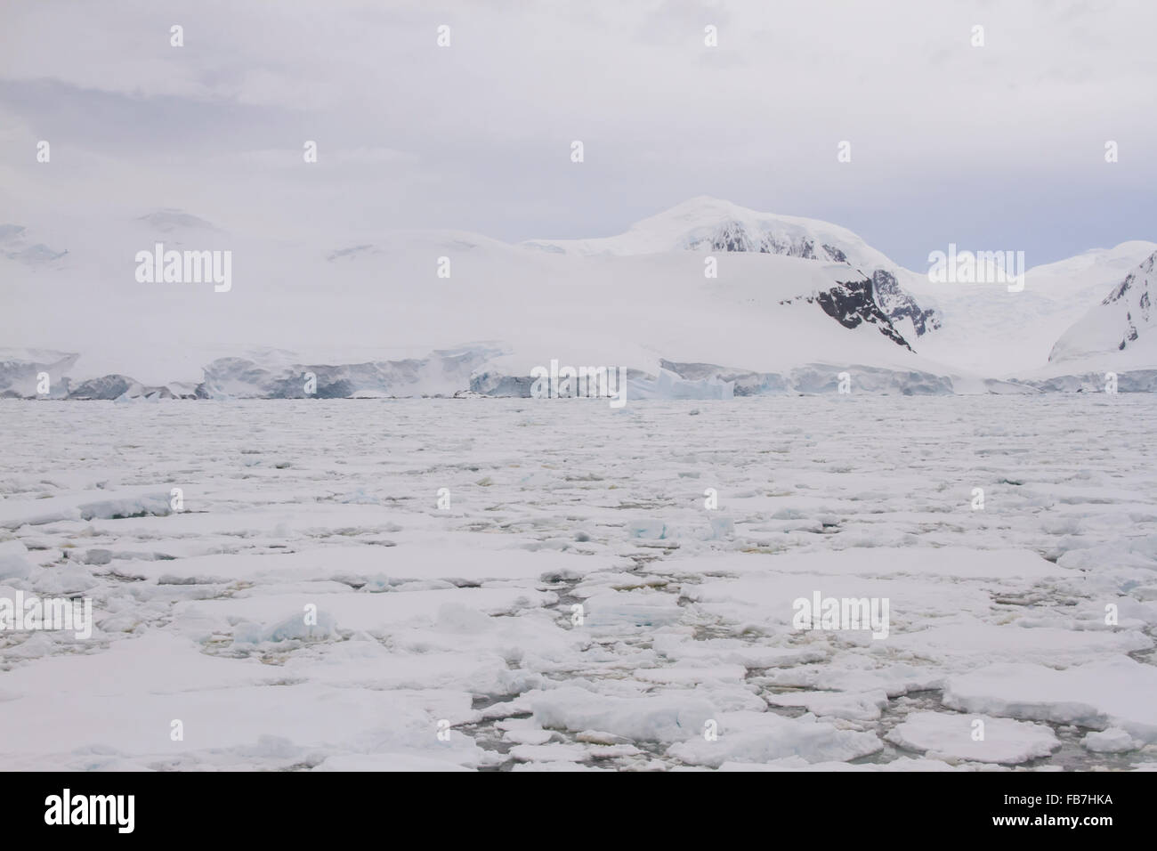 Field pack ice growlers bergie hi-res stock photography and images - Alamy