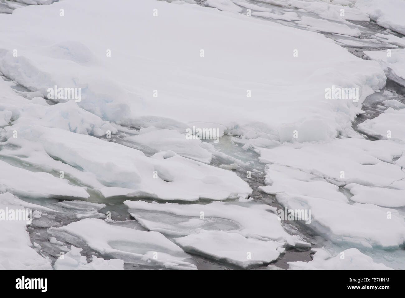Floating sea ice, growlers and bergie bits in Antarctica Stock Photo ...