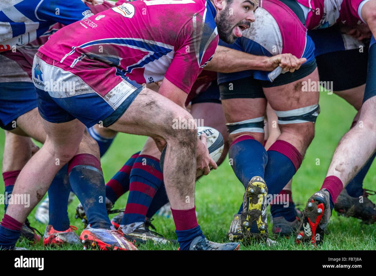 Male rugby players playing rugby union Stock Photo - Alamy