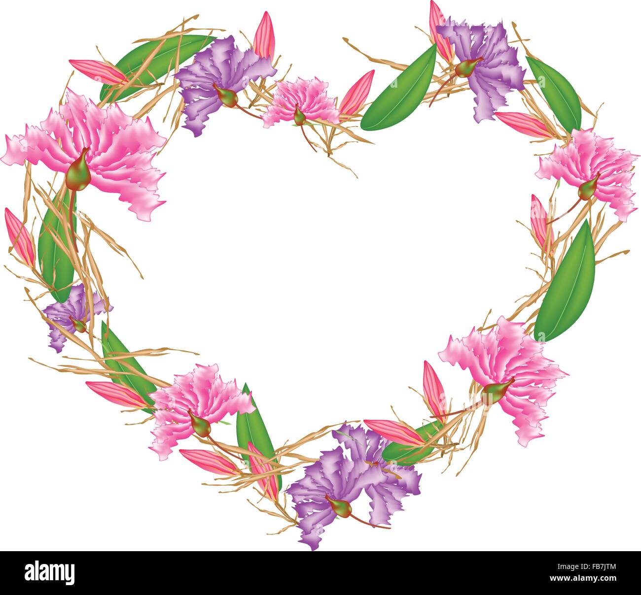 Pink crape myrtle flower Stock Vector Images - Alamy