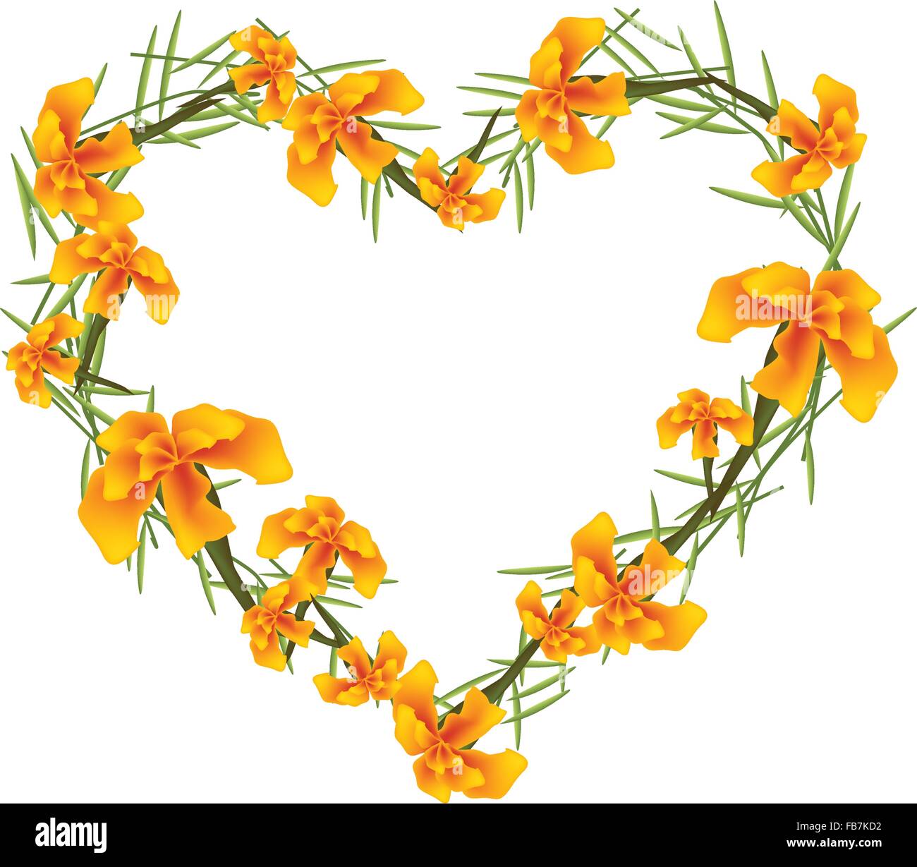 Marigolds in bloom Stock Vector Images - Alamy