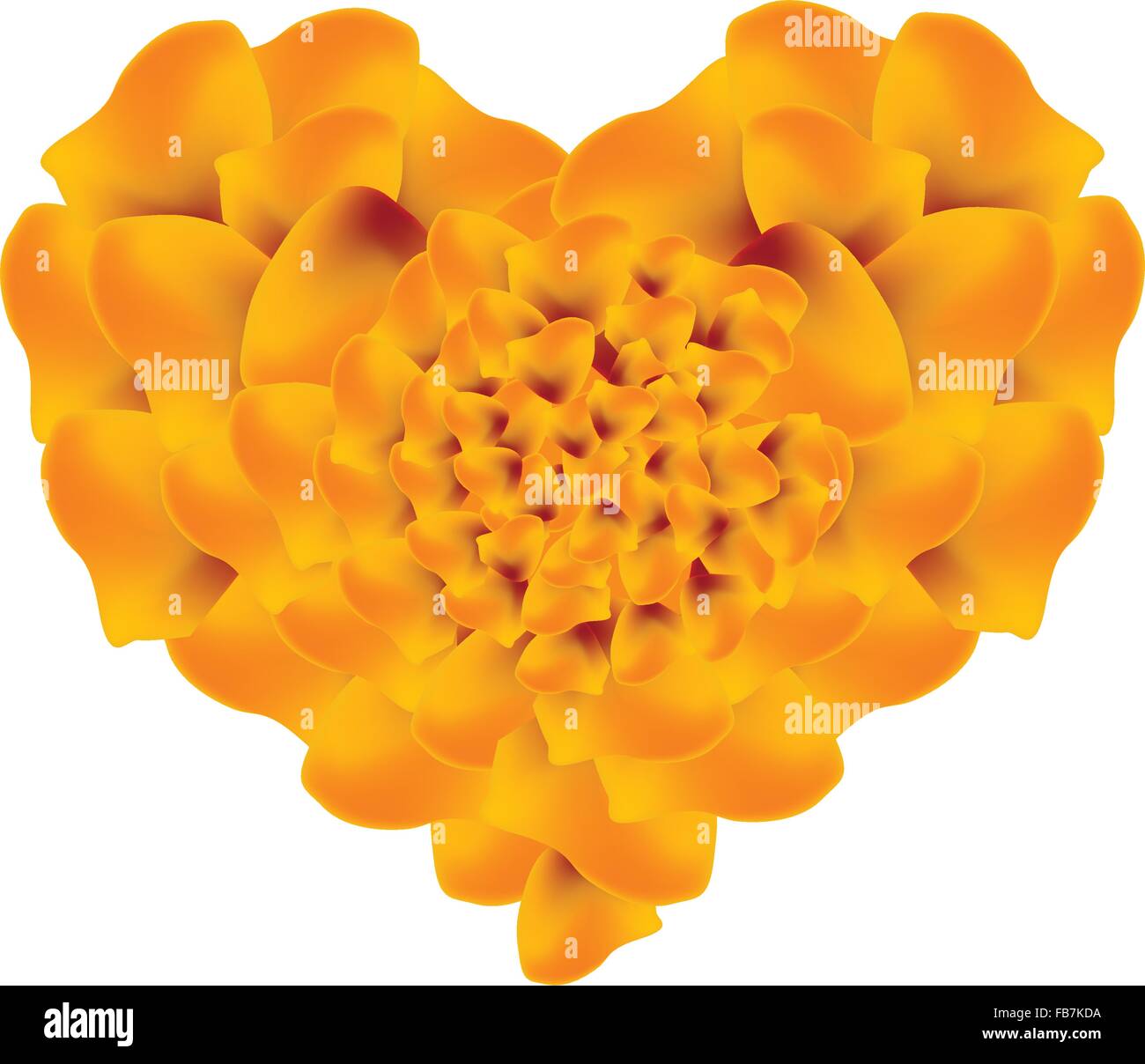 Love Concept, Illustration of Orange Marigolds Forming in A Heart Shape ...