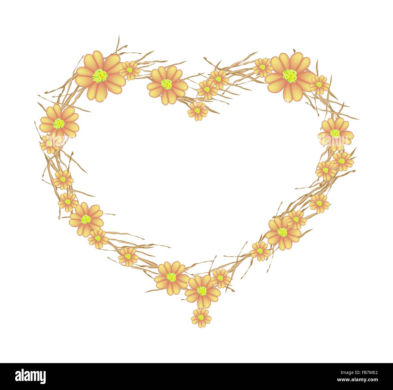 Achillea yarrow orange Cut Out Stock Images & Pictures - Alamy