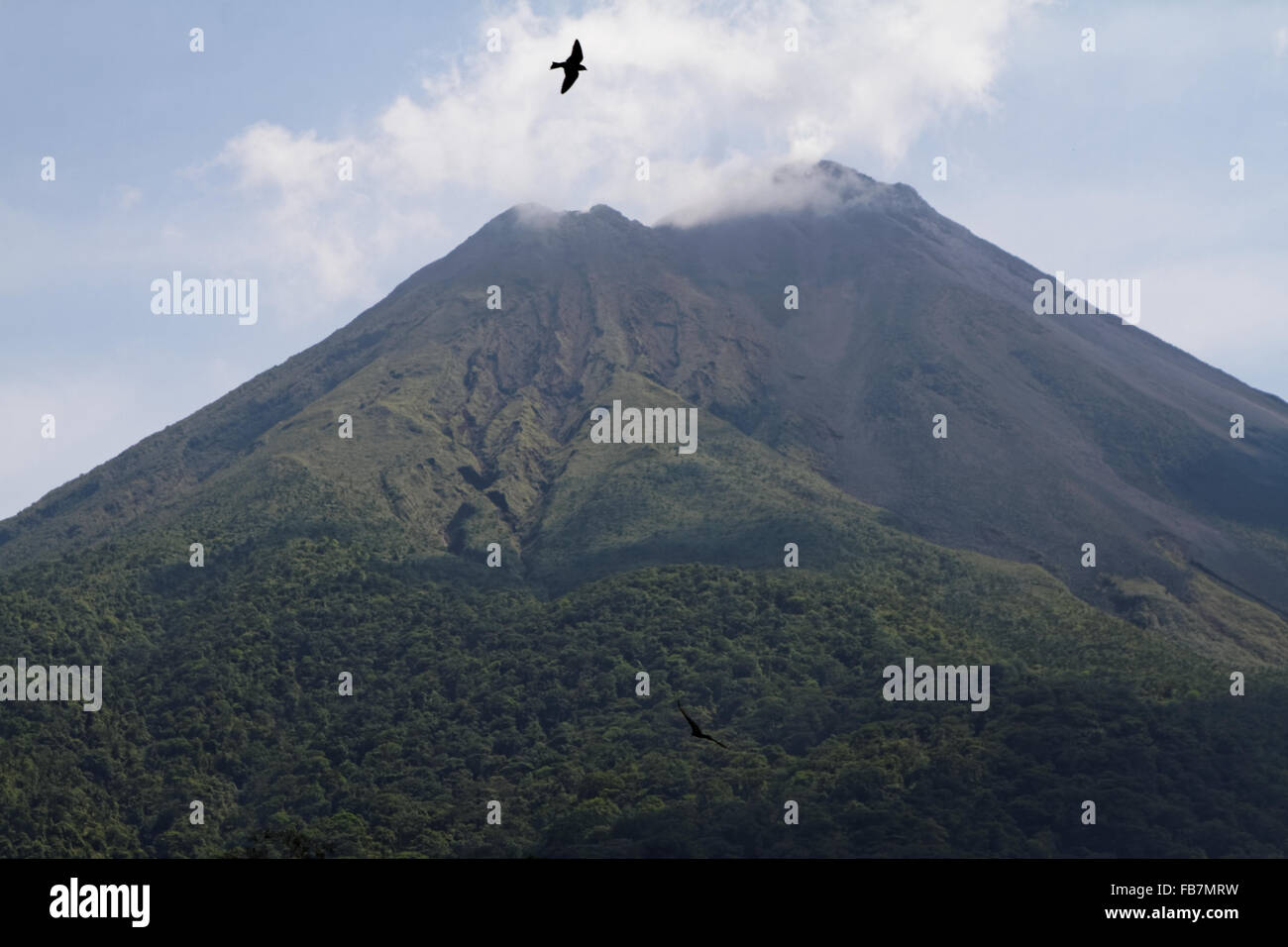 A bird soars near the Arenal Volcano in northern Costa Rica. photo by ...