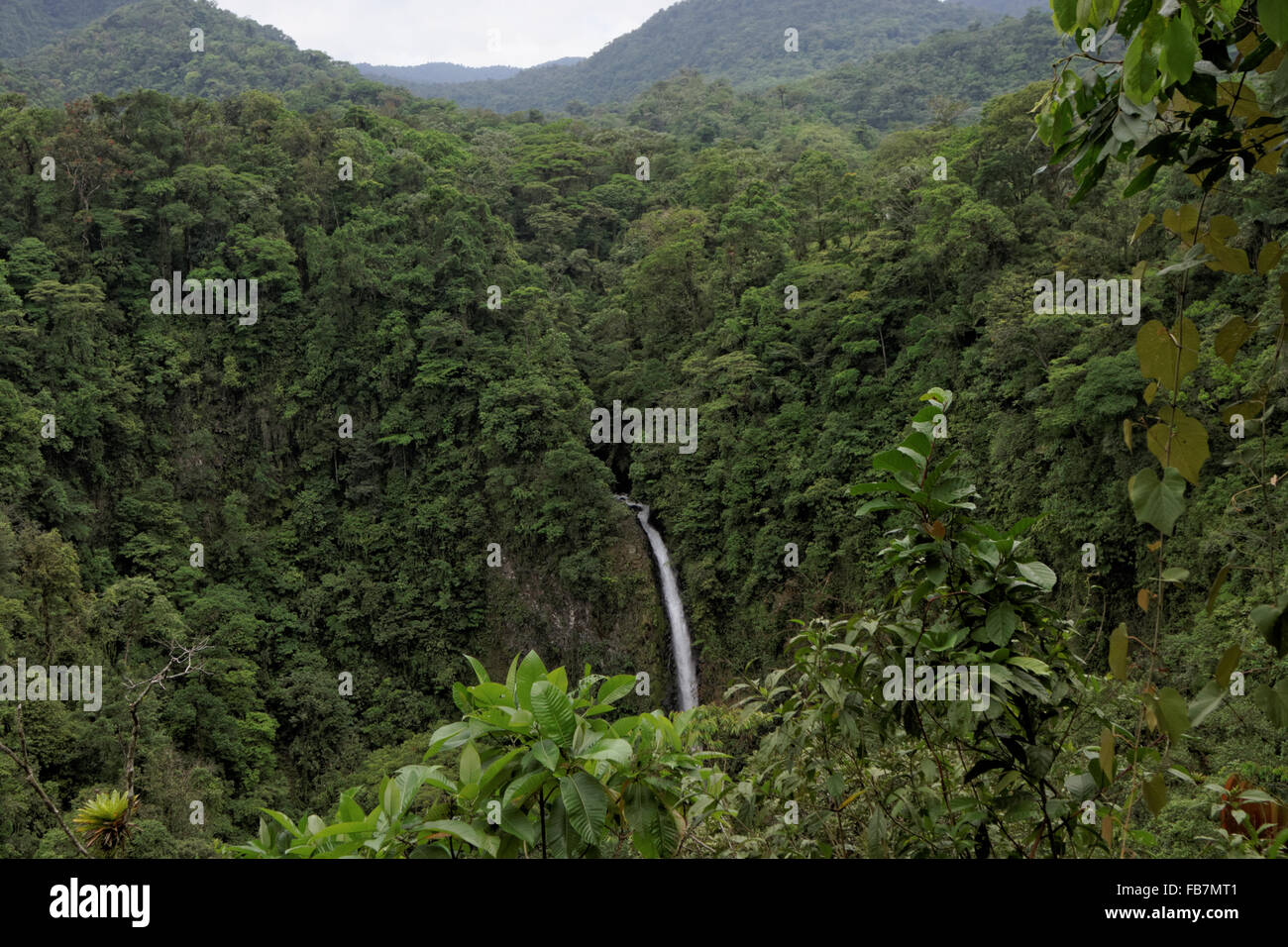 A waterfall emerges from the jungle in Arenal Volcano National Park in ...