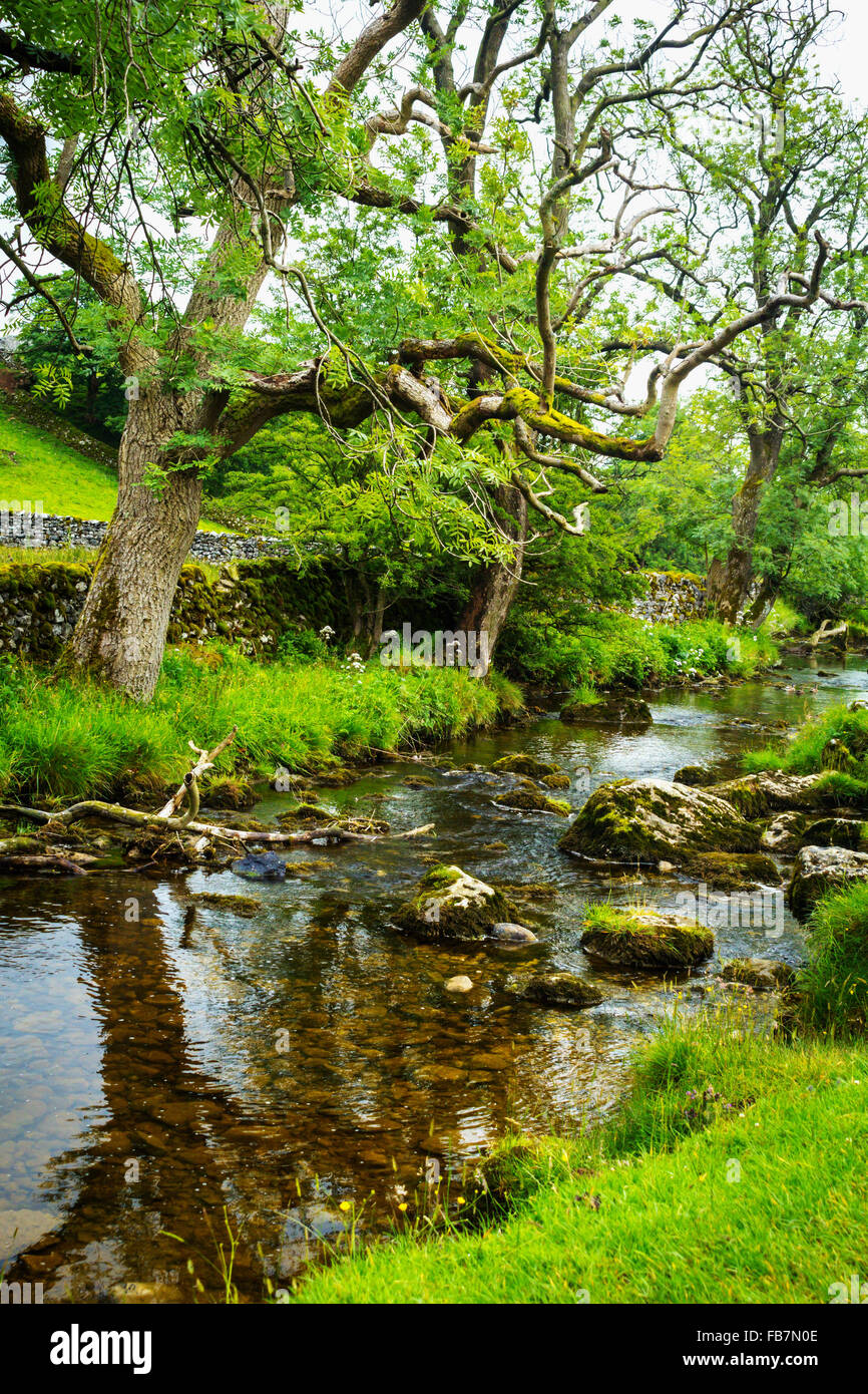Malham Beck, Yorkshire Dales, England Stock Photo - Alamy