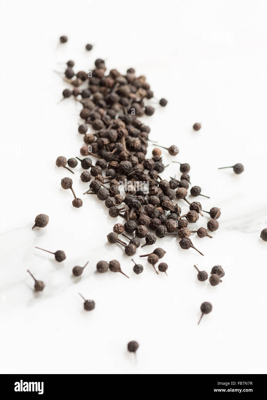 Cubebe pepper (Piper cubeba Stock Photo - Alamy