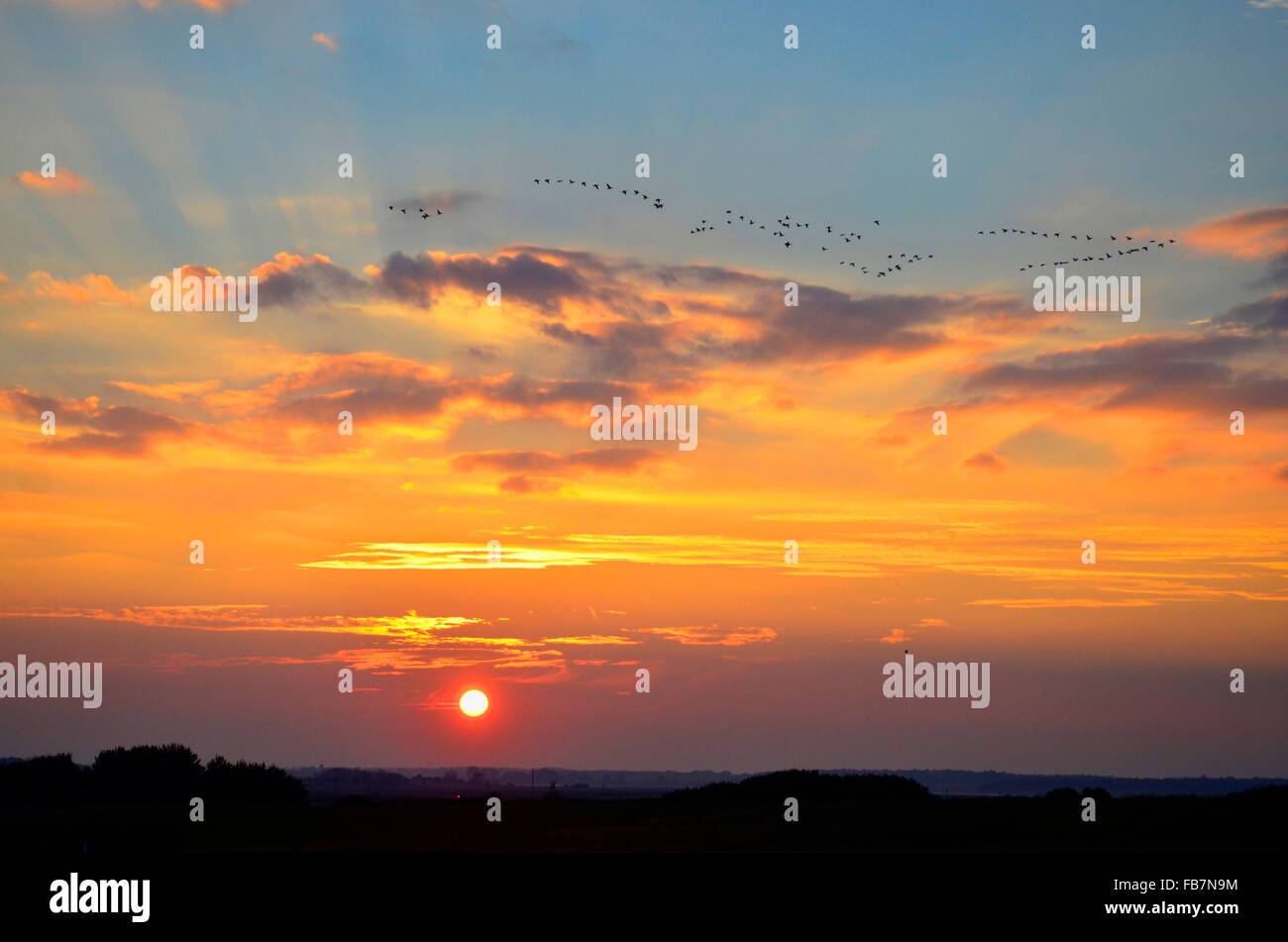 Bordeaux sunset hi-res stock photography and images - Alamy