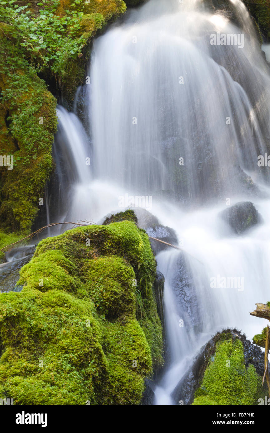 Silky waterfall and mossy rocks of Clearwater Falls in Oregon on Umpqua ...
