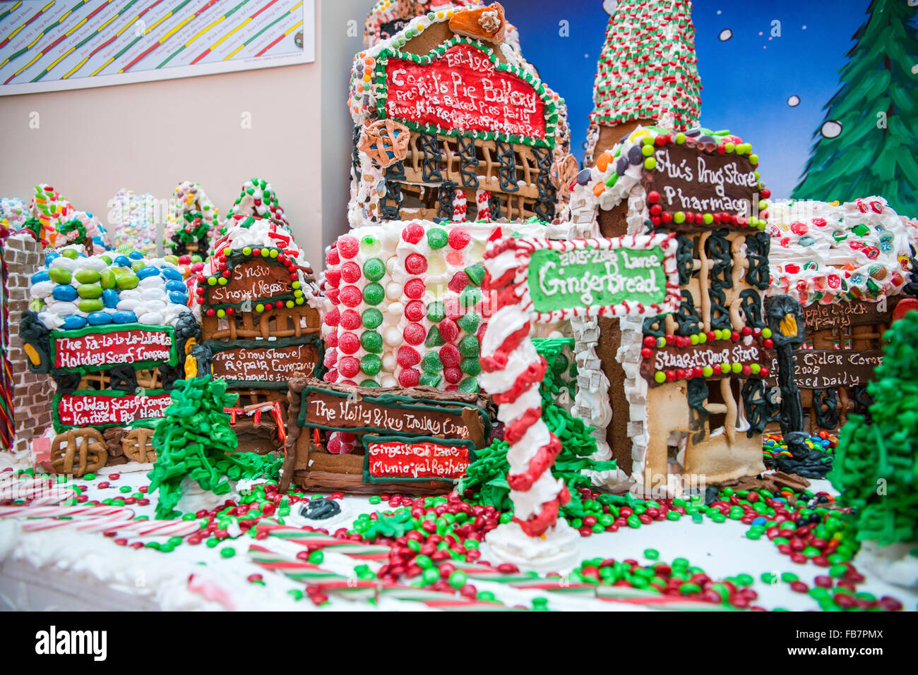 New York, USA. 10th January, 2016. The last day of the Gingerbread Line ...