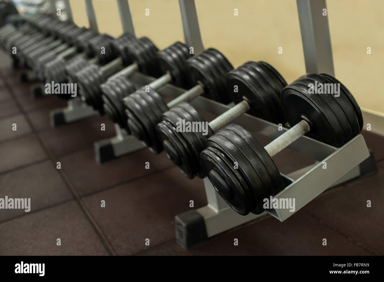 Dumbbells in gym Stock Photo - Alamy