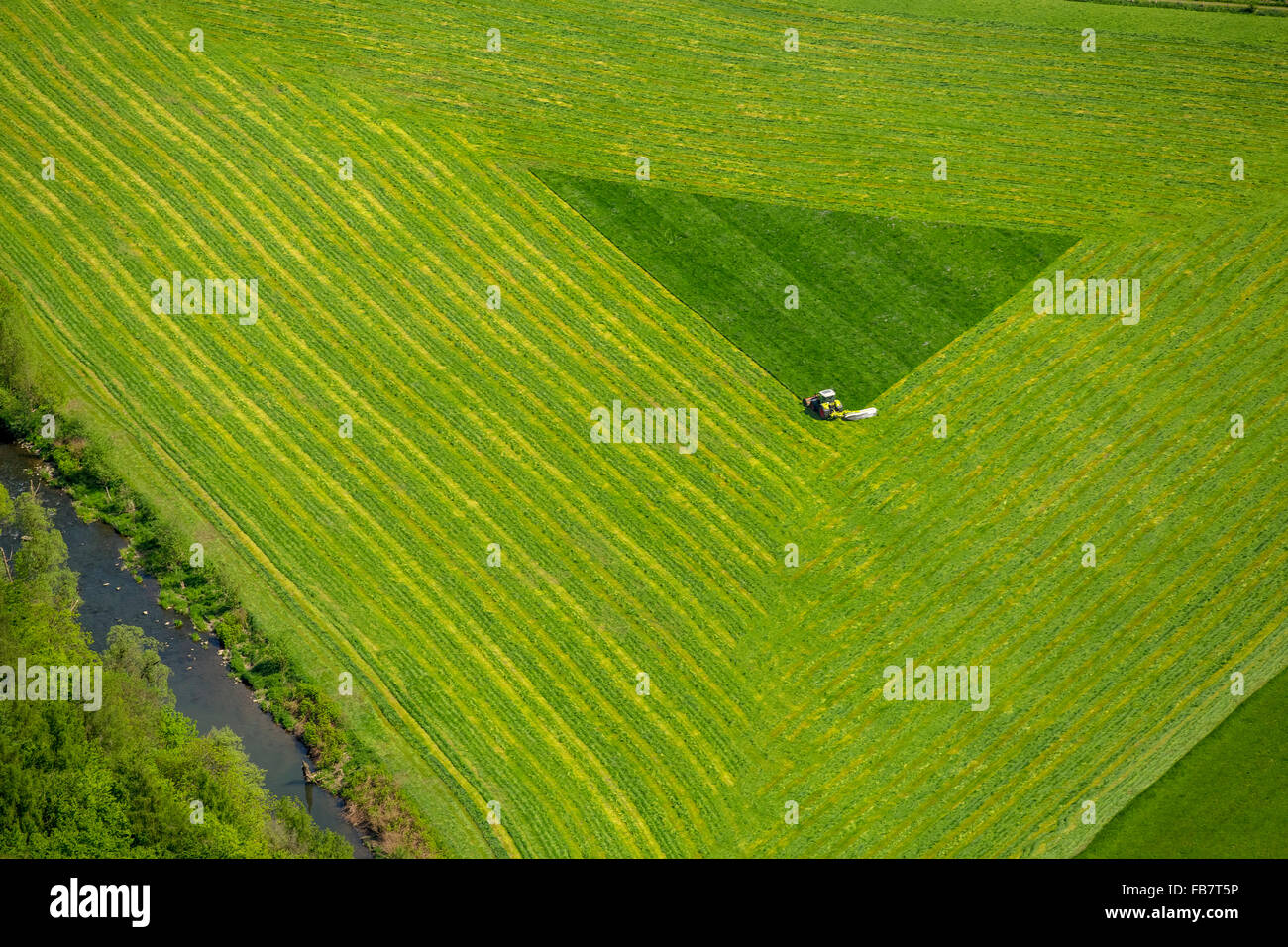 Aerial view, farmer mowing grass in the Ruhr break Arnsberg, hay ...