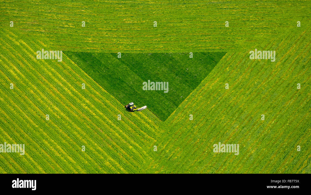 Triangle grass hi-res stock photography and images - Alamy