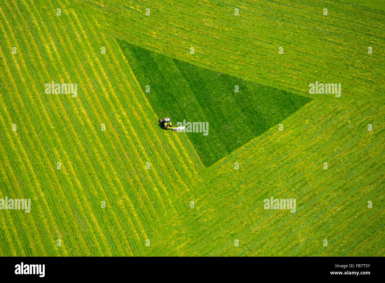 Triangle grass hi-res stock photography and images - Alamy