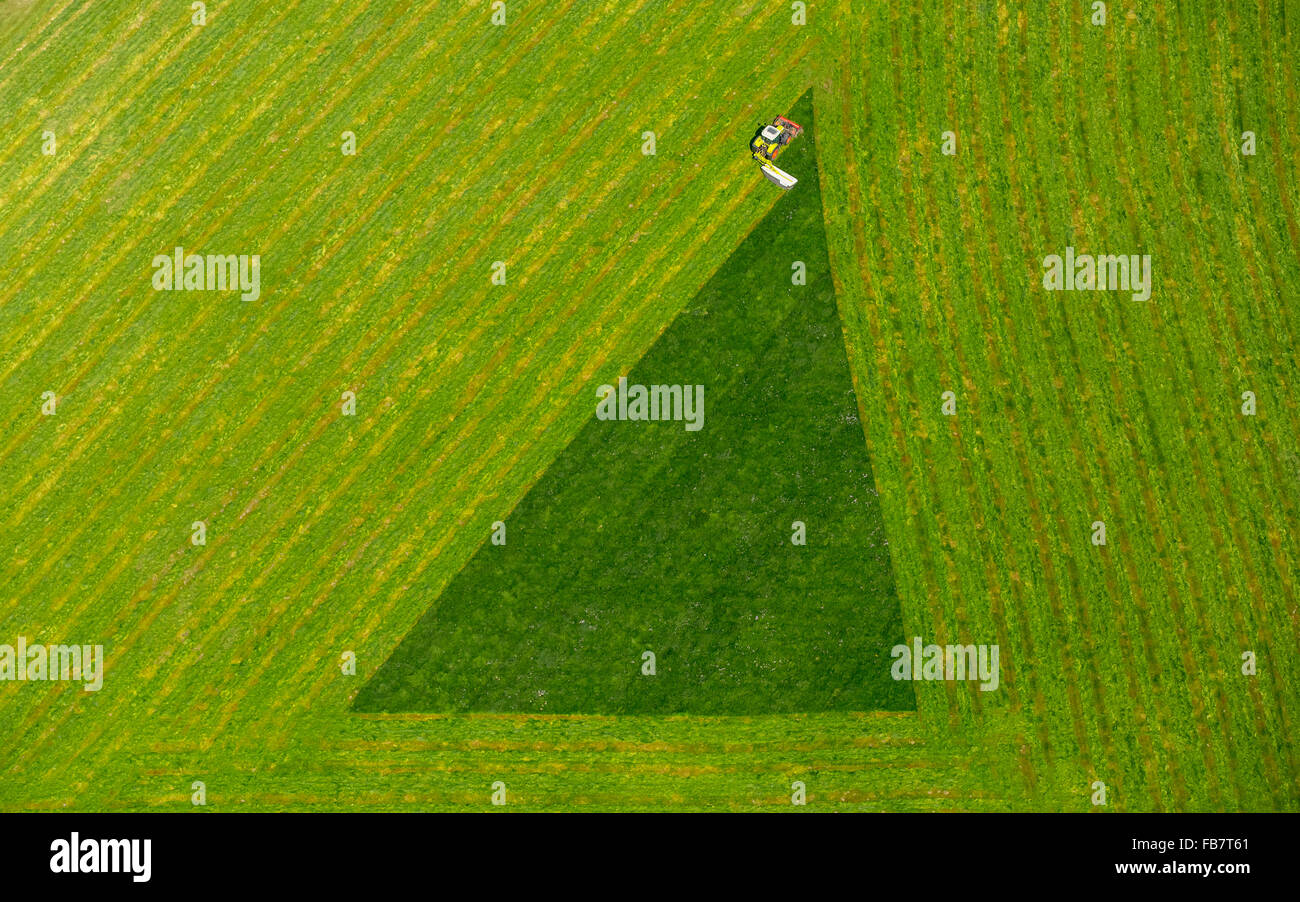 Triangle of grass hi-res stock photography and images - Alamy