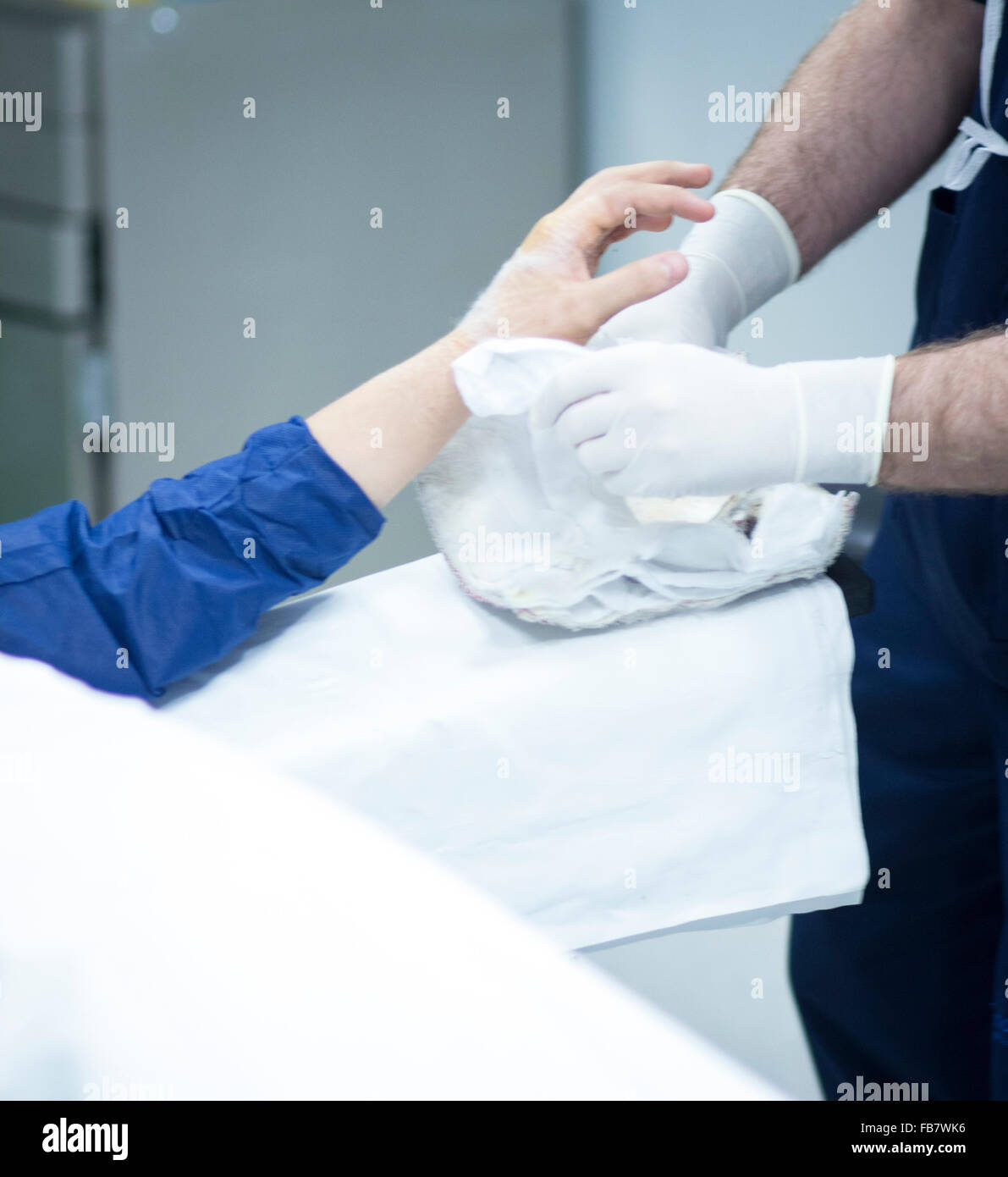 Hospital hand surgery orthopedics operation photo Stock Photo - Alamy