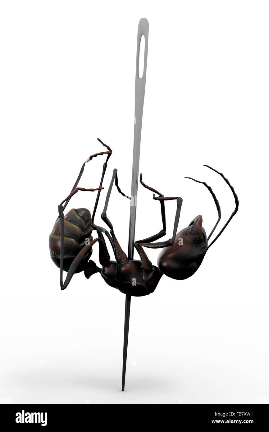 A worker ant pinned down and utterly defeated, a good concept and ...