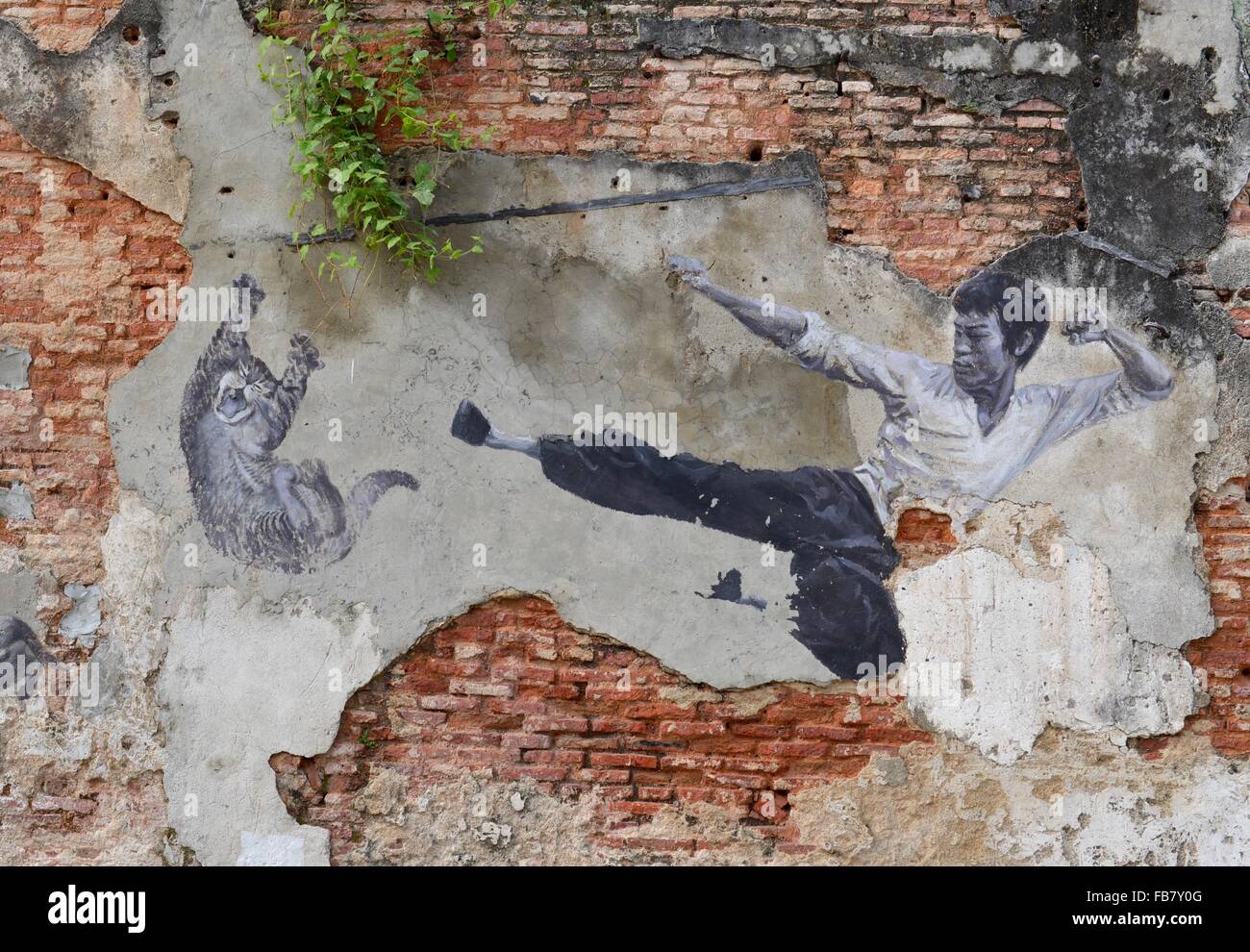 Bruce lee street art Stock Photo - Alamy