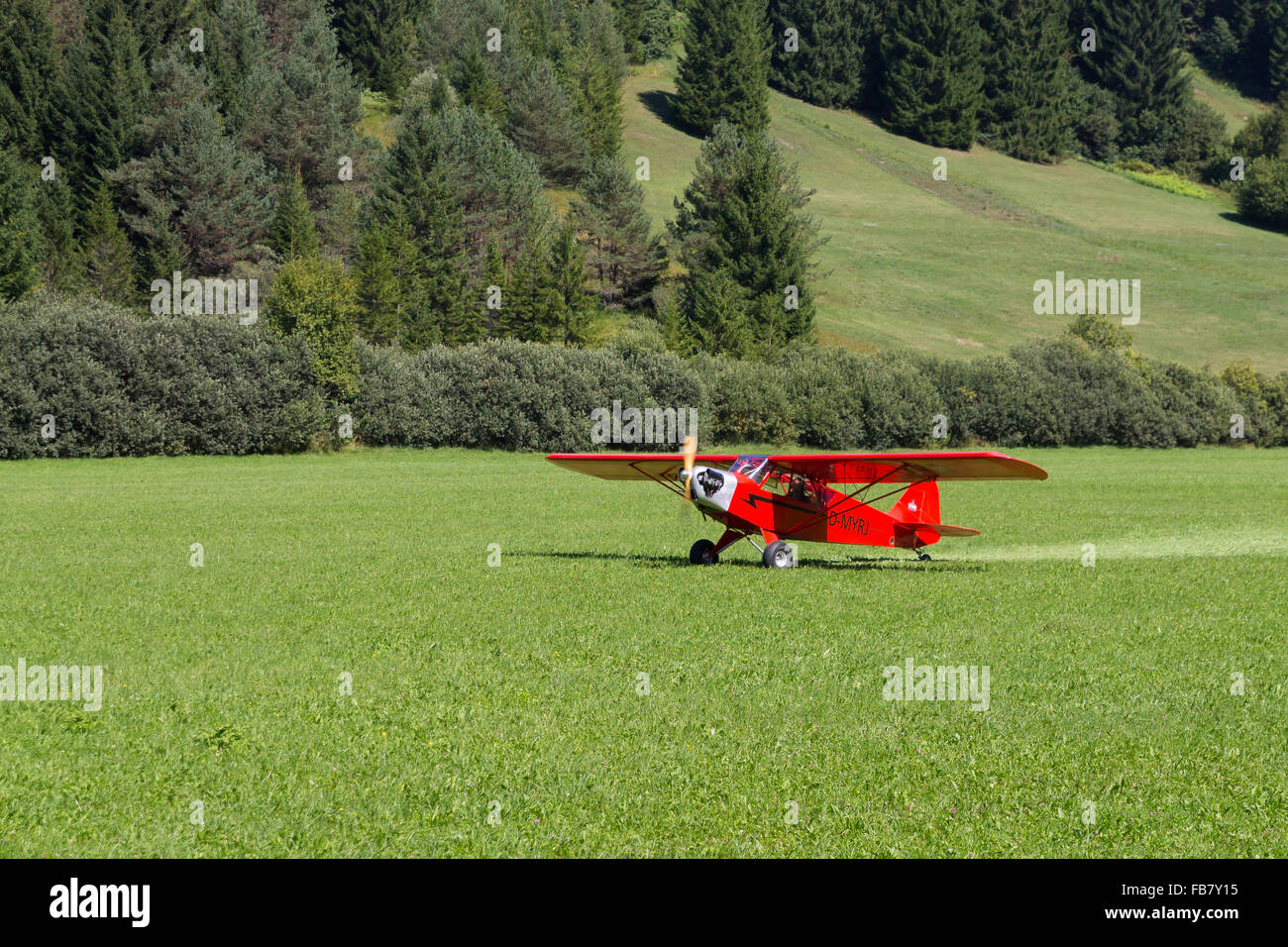 Light red aircraft landing on a green meadow, transportation, outdoor ...