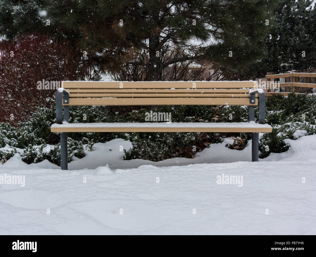 A wooden park bench accumulates snow during a winter snowfall Stock ...
