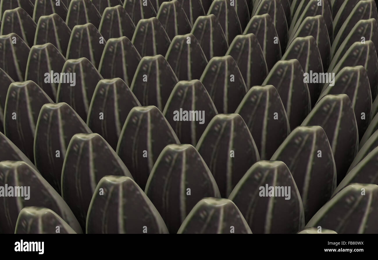 Sunflower seeds up close spiral arrangements. Rendered to fibonacci ...