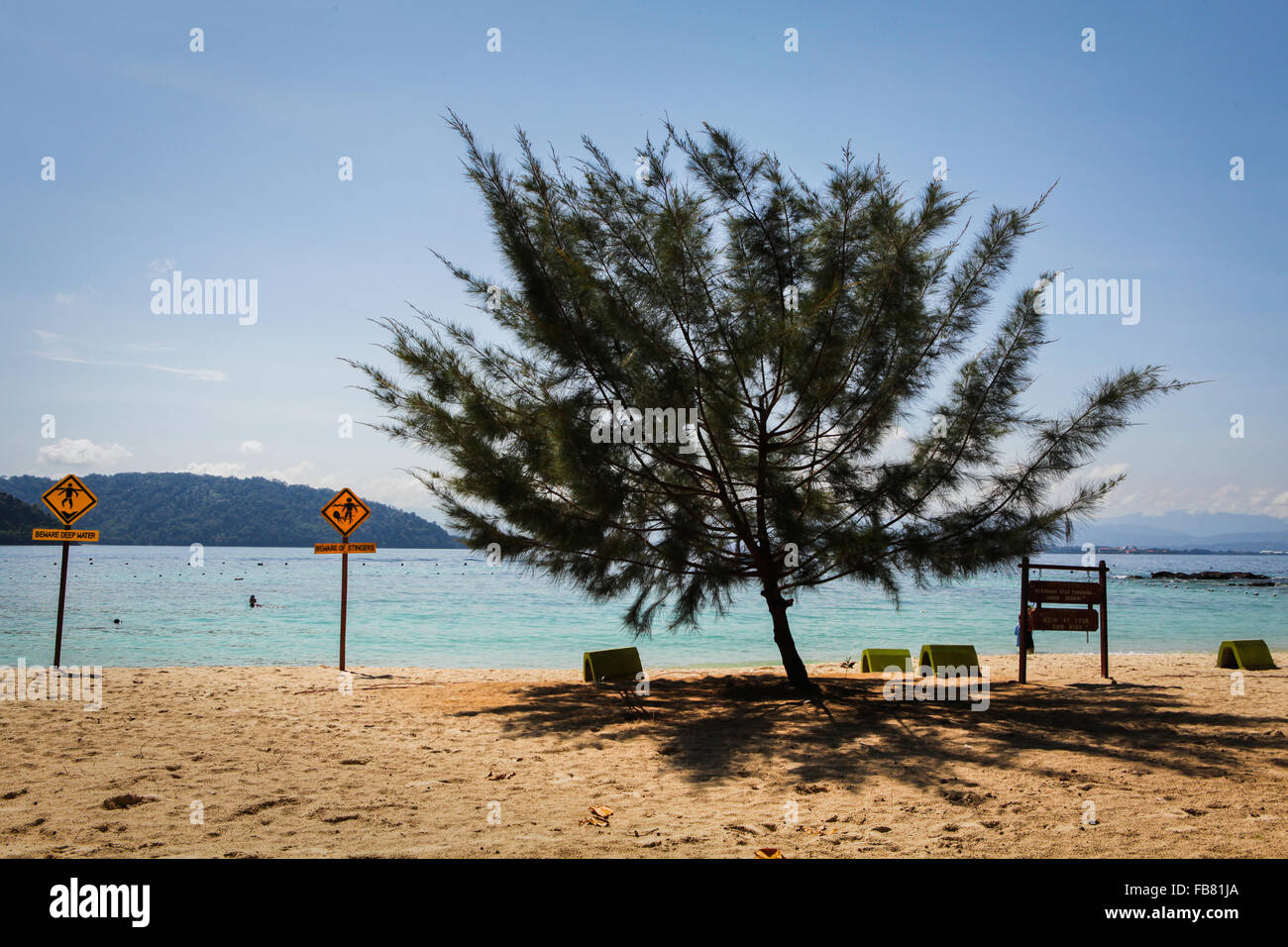 A casuarina tree and signage on tropical sandy beach of Pulau Sapi ...
