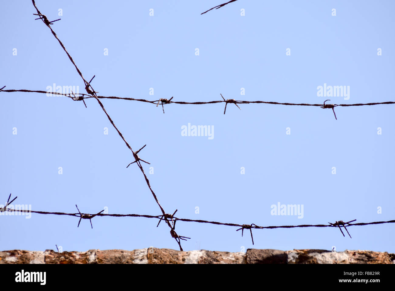 Dangerous Barbed Wire Stock Photo - Alamy