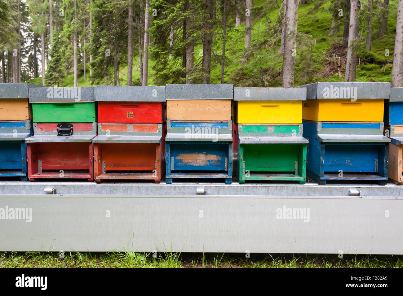 Number of hives in a row, bee keeping, farming, honey, rural life Stock ...