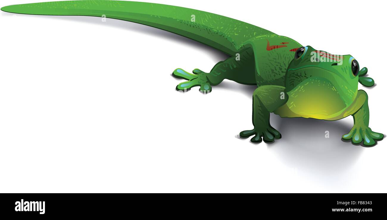 A vector illustration of a happy gecko staring up at the viewer. It ...