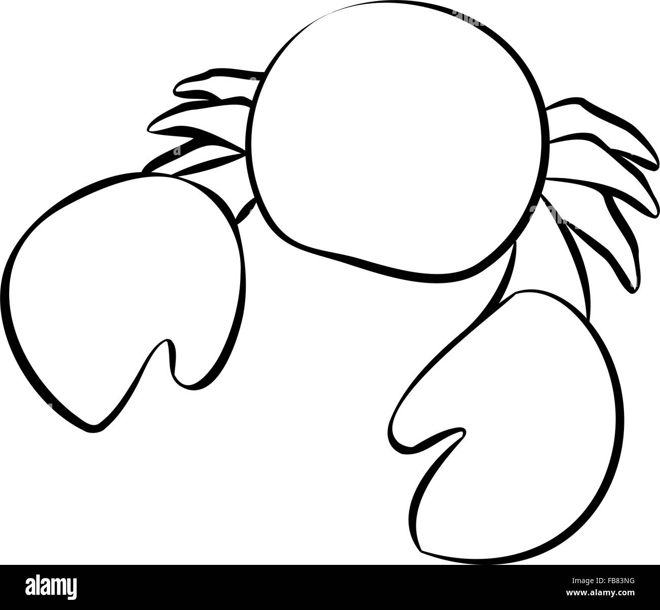 Crab drawing Black and White Stock Photos & Images - Alamy